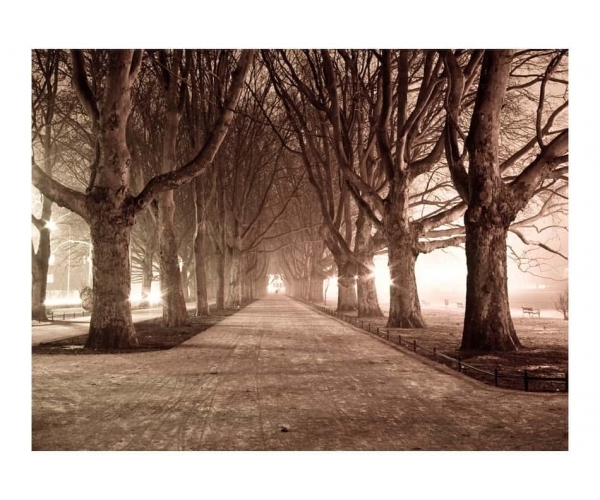 fototapeta na ścianę do salonu sypailni RADIMAR