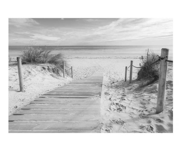 Fototapeta samoprzylepna - Na plaży - czarno-biały pejzaż Fototapeta samoprzylepna - Na plaży - czarno-biały pejzaż